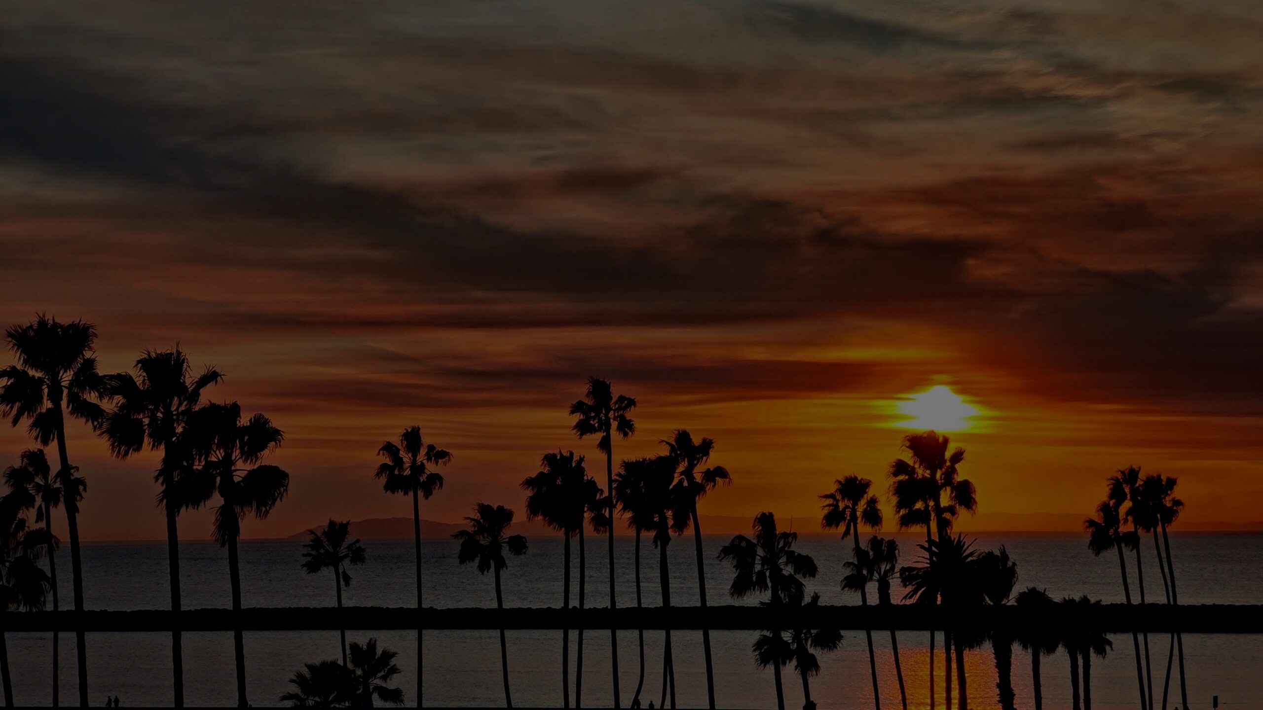 MEDDPICC Sales Training, Coaching, Online and In-Person